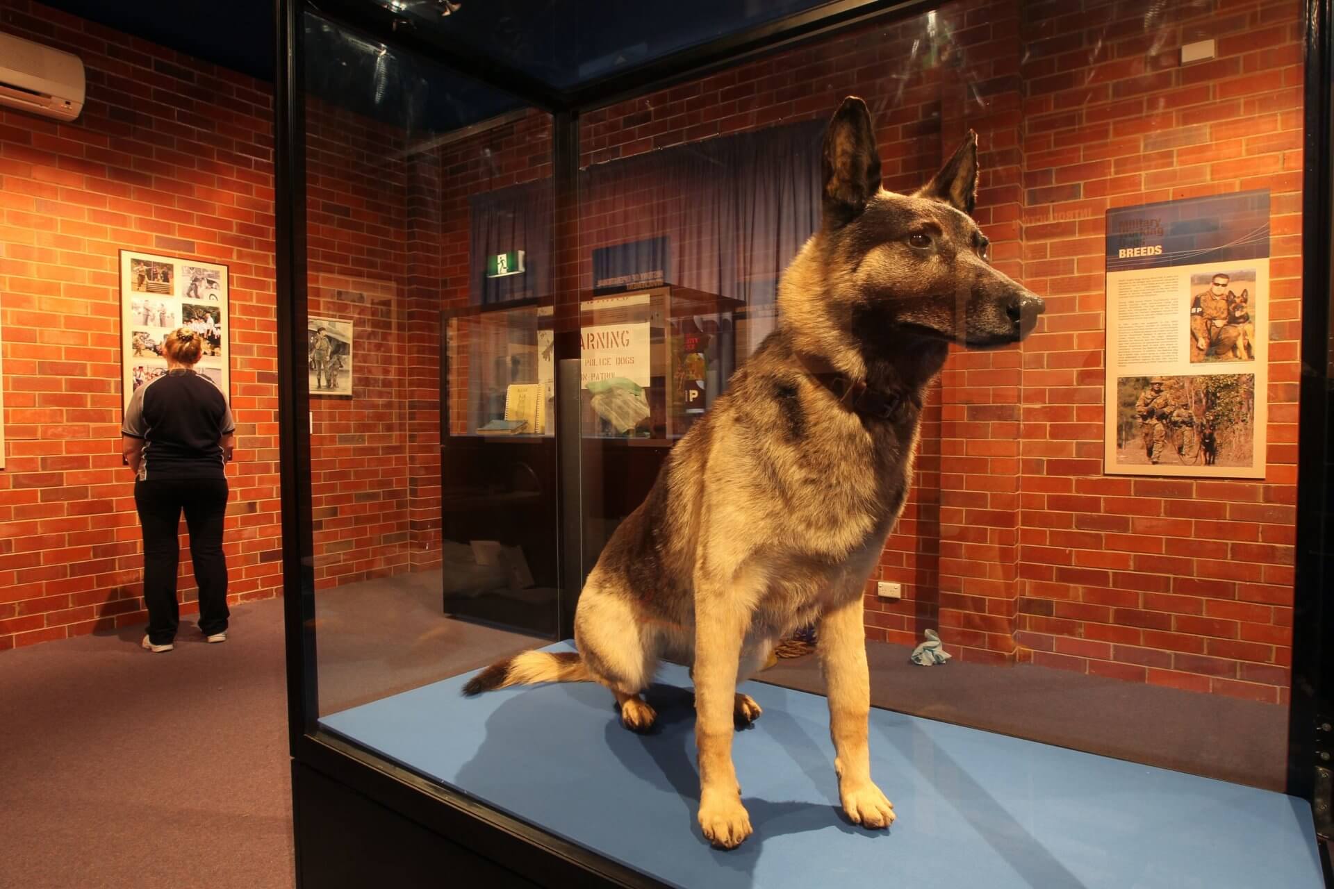 RAAF Base Wagga Heritage Centre - RAAF Base Wagga Magazine